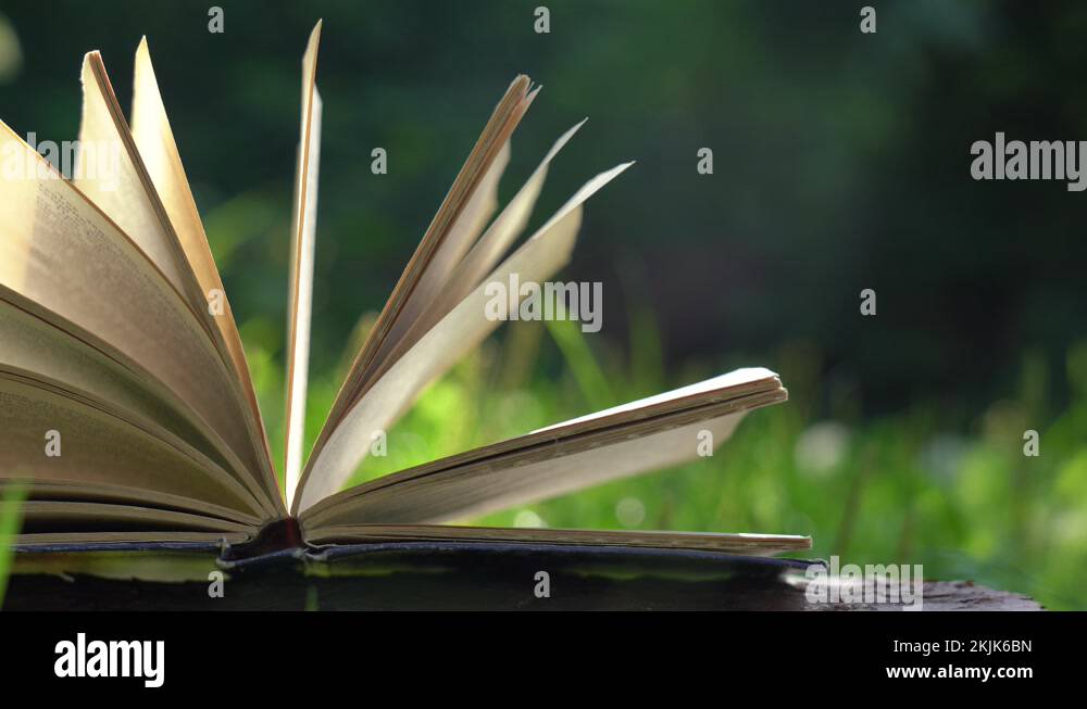 Open book side view Stock Videos & Footage - HD and 4K Video Clips - Alamy
