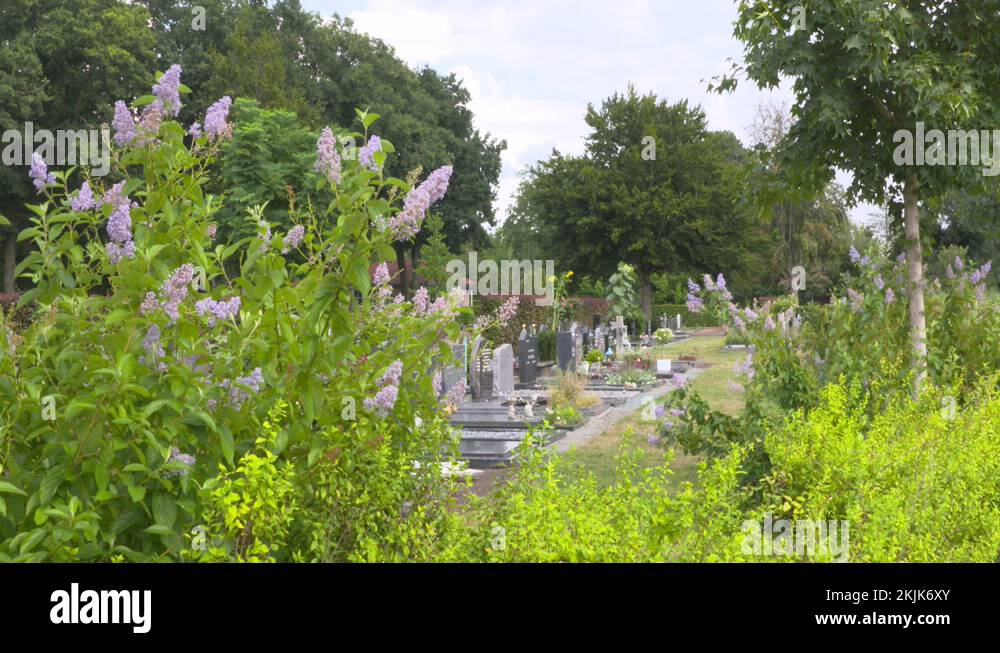 Netherlands cemetery Stock Videos & Footage - HD and 4K Video Clips - Alamy