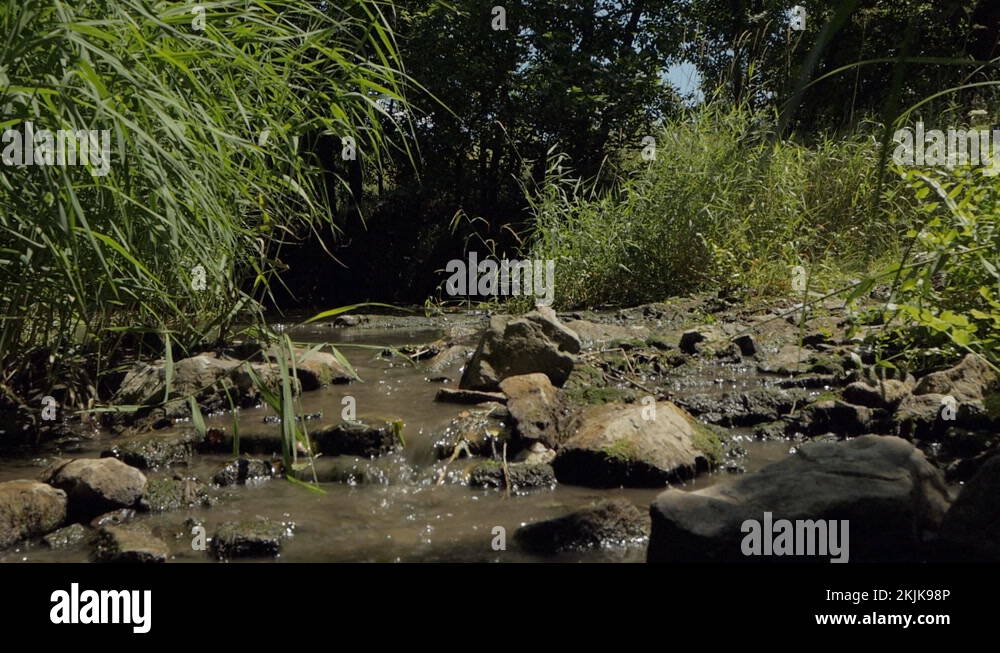 Slow movement of a person on a Quad bike moving off road across a ...