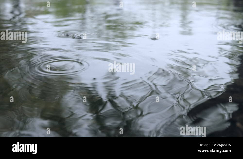 Drops puddle Stock Videos & Footage - HD and 4K Video Clips - Alamy