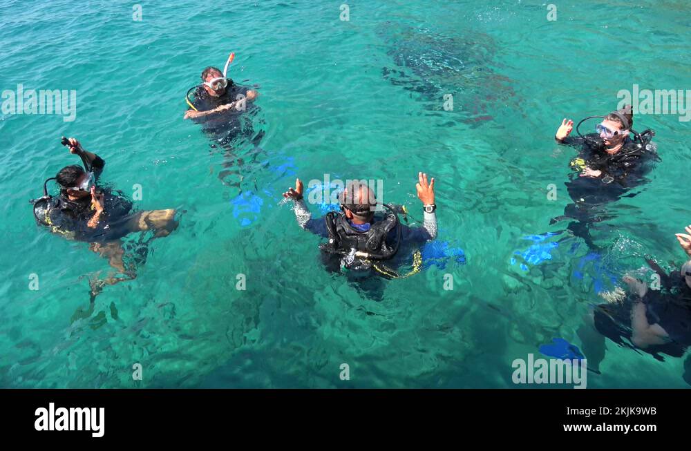 Scuba team Stock Videos & Footage - HD and 4K Video Clips - Alamy