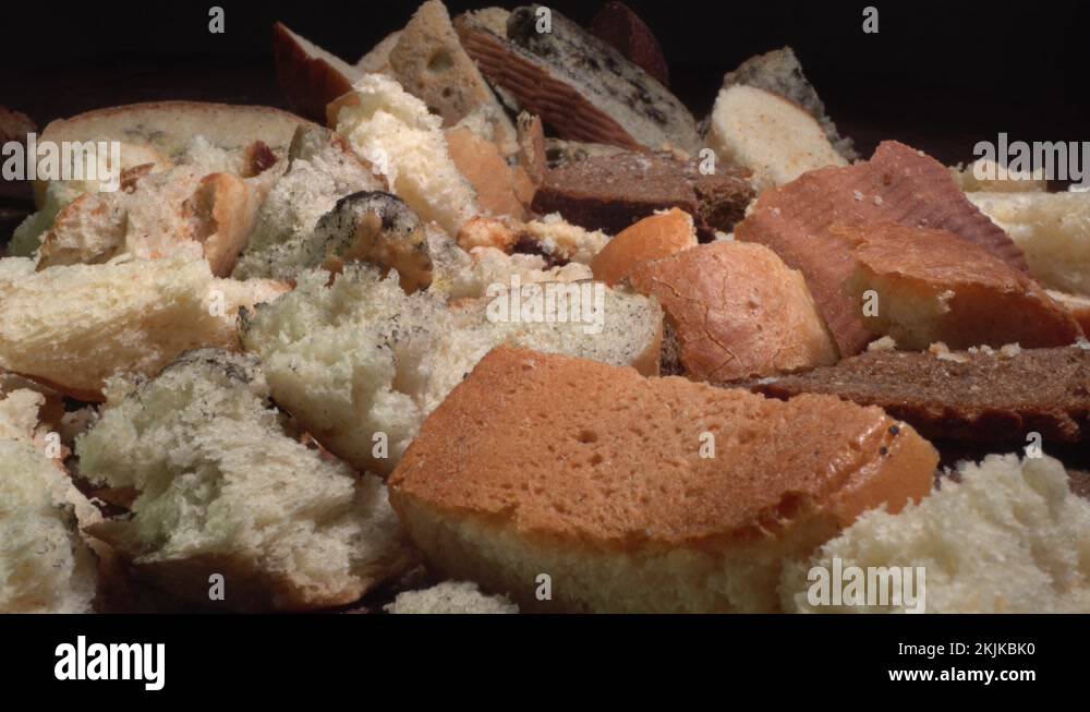 Food loss and waste. Wasted bread, food wasting. Discarded moldy bread ...