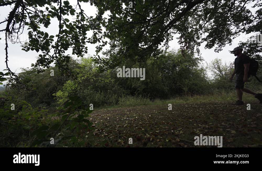 People beneath a tree people beneath a tree Stock Videos & Footage - HD ...