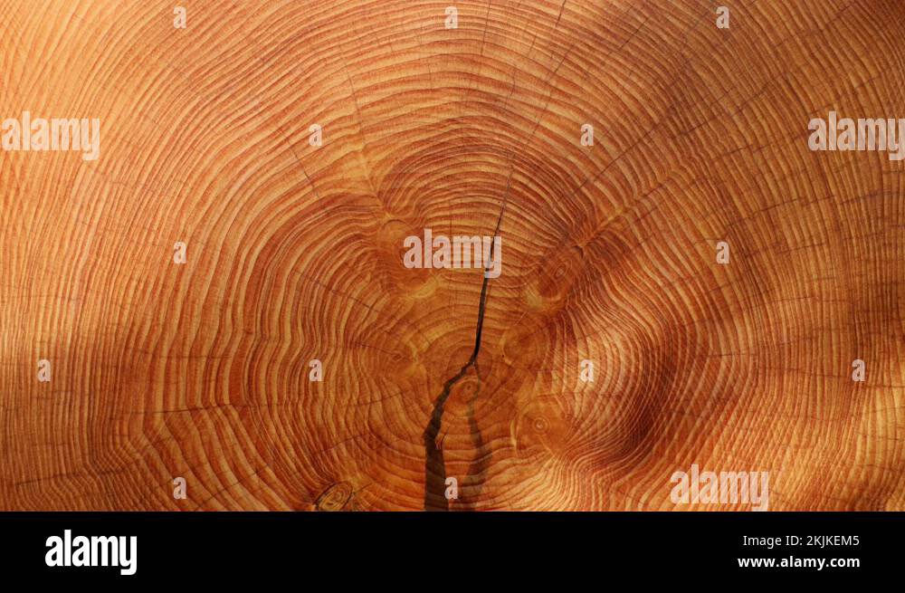 Natural cut pattern Stock Videos & Footage - HD and 4K Video Clips - Alamy