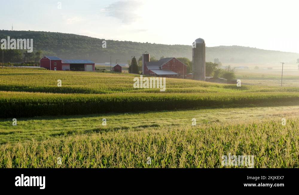 Corn barn silo agriculture farm rural Stock Videos & Footage - HD and ...