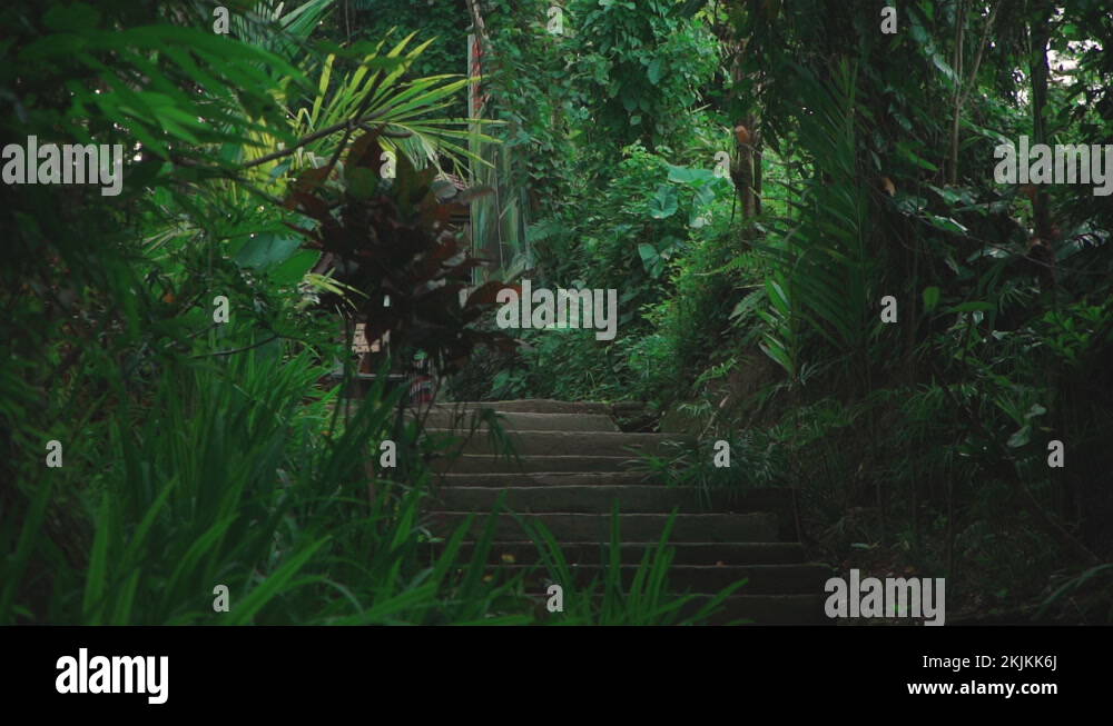 ancient stone steps in jungle in indonesia backround Stock Video ...