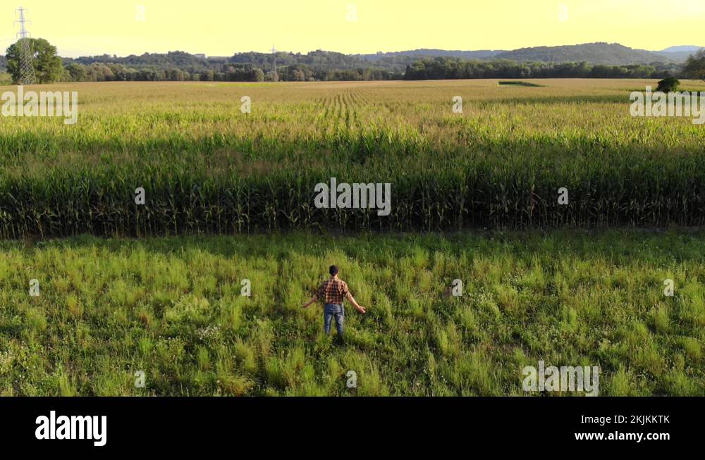 Front lift arms Stock Videos & Footage - HD and 4K Video Clips - Alamy