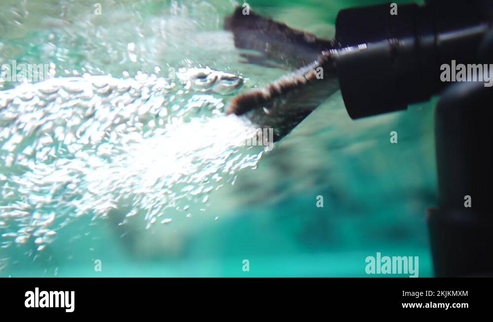 Alpha oxygen Stock Videos & Footage - HD and 4K Video Clips - Alamy