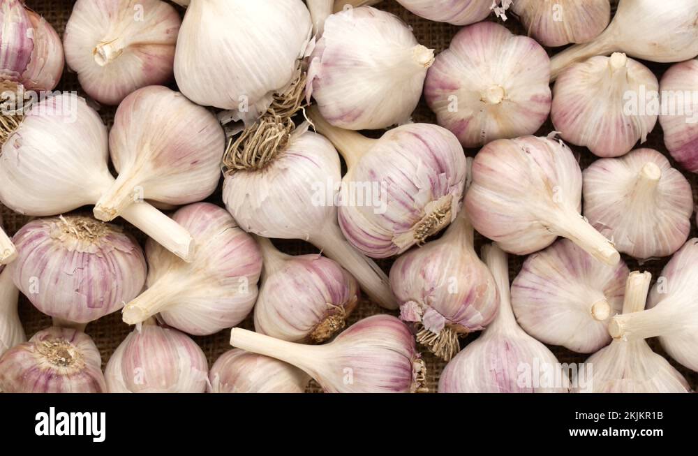 Garlic roots Stock Videos & Footage - HD and 4K Video Clips - Alamy
