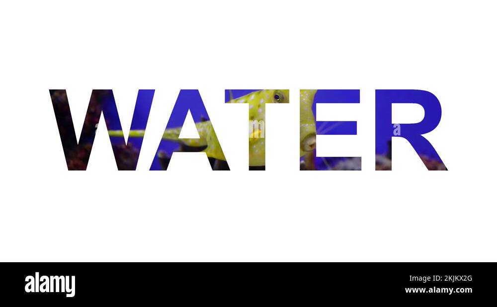 The word water on a white isolated background. Transparent text sea ...