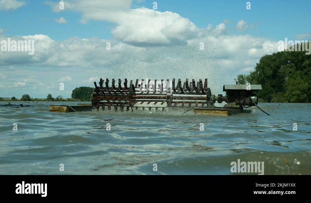 Drought fish Stock Videos & Footage - HD and 4K Video Clips - Alamy