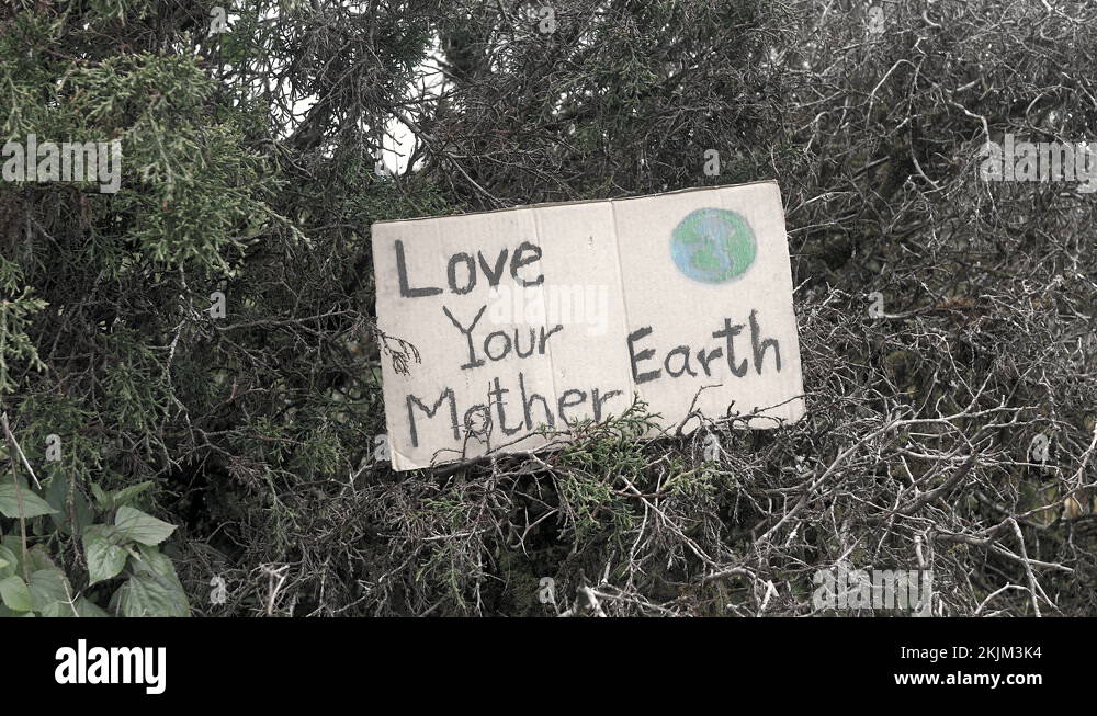 Conservation background Stock Videos & Footage - HD and 4K Video Clips ...