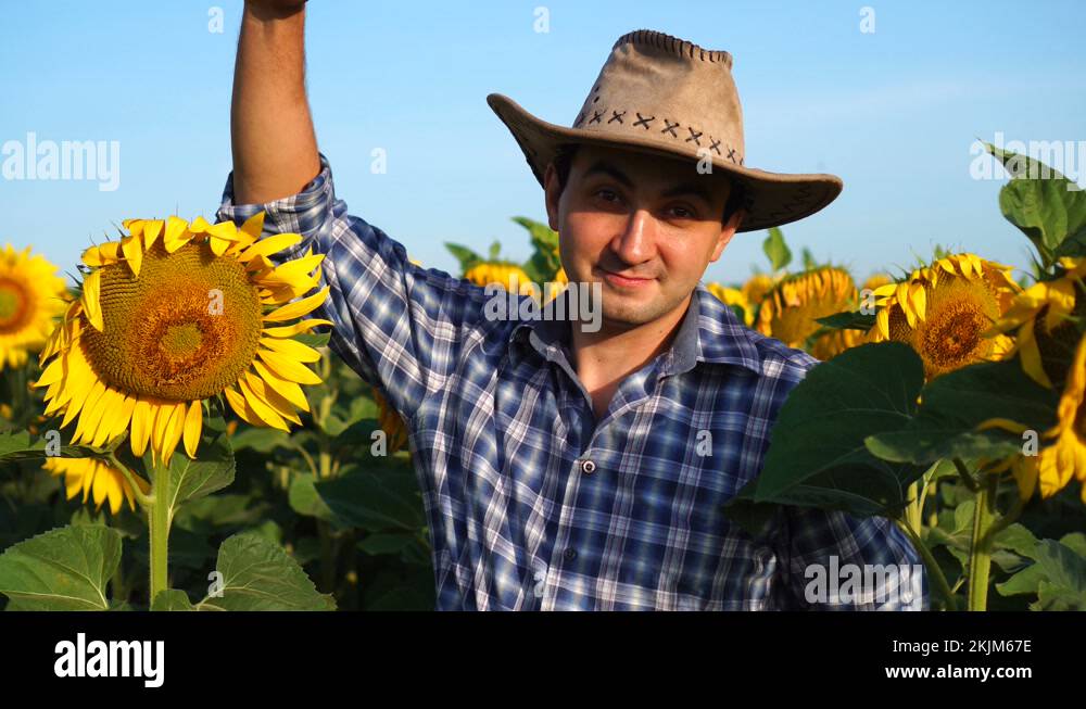 Man standing in field waving Stock Videos & Footage - HD and 4K Video ...