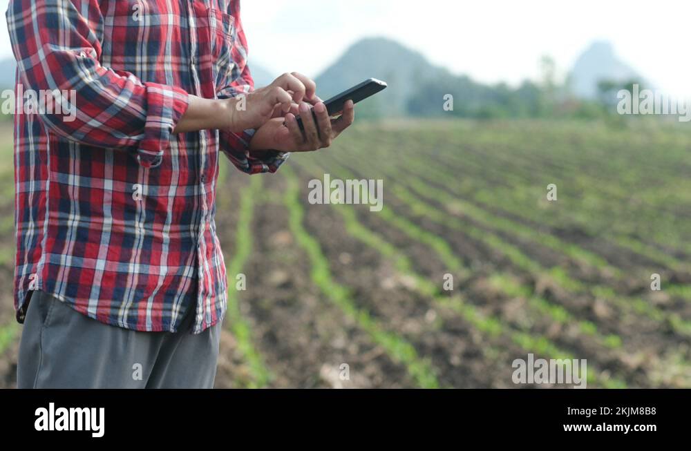 Corn farming asia Stock Videos & Footage - HD and 4K Video Clips - Alamy