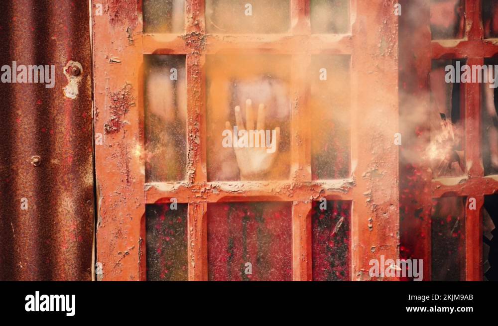 Panic grass Stock Videos & Footage - HD and 4K Video Clips - Alamy