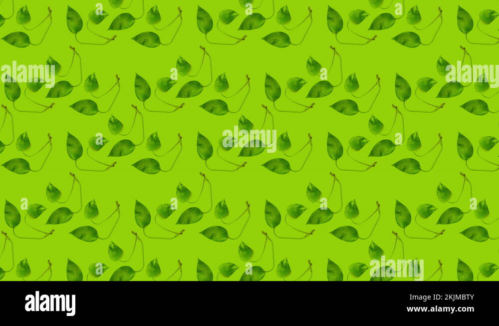 Green leaves 2D background animation, seamless looping, 4K Stock Video ...
