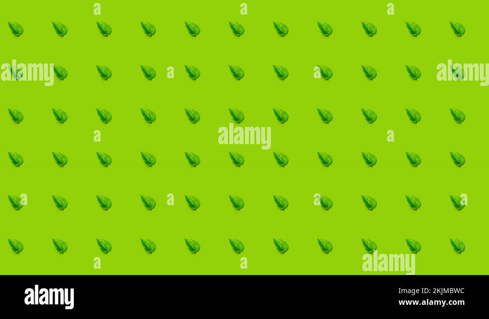 Green leaves 2D background animation, seamless looping, 4K Stock Video ...