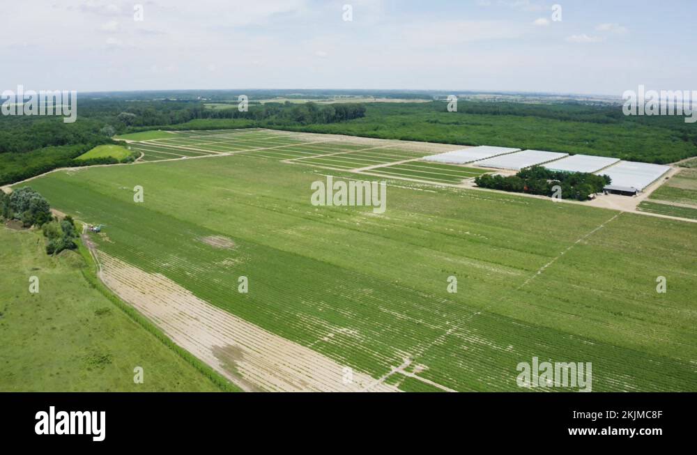 Crop harvest aerial Stock Videos & Footage - HD and 4K Video Clips - Alamy