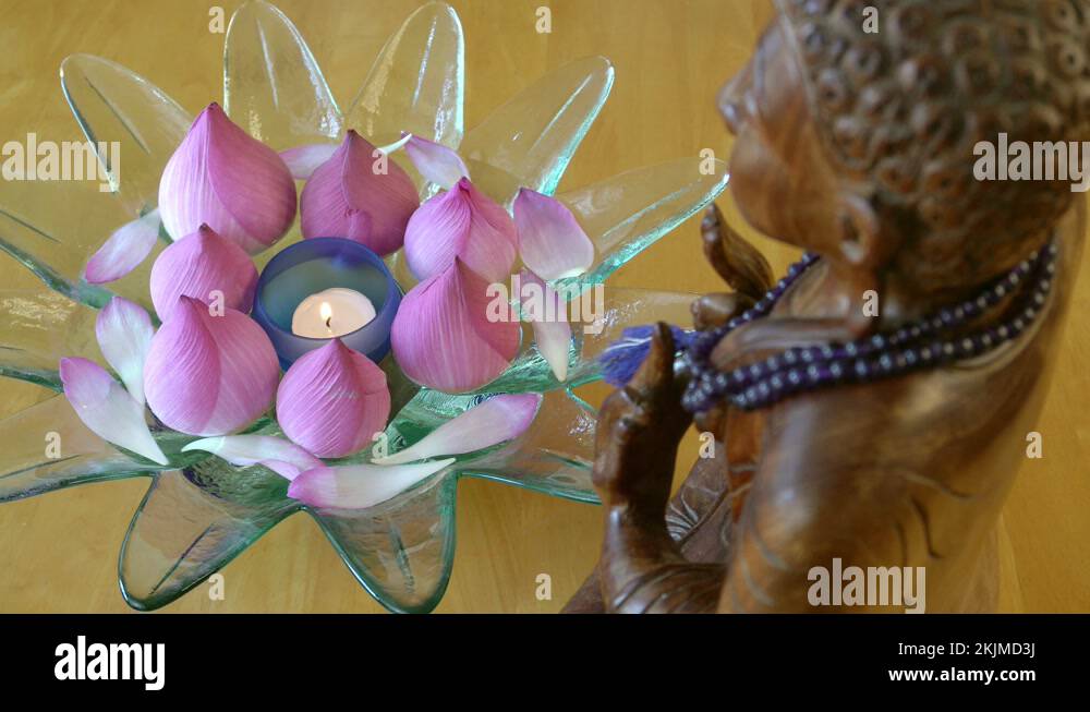 Flower closed buds Stock Videos & Footage - HD and 4K Video Clips - Alamy