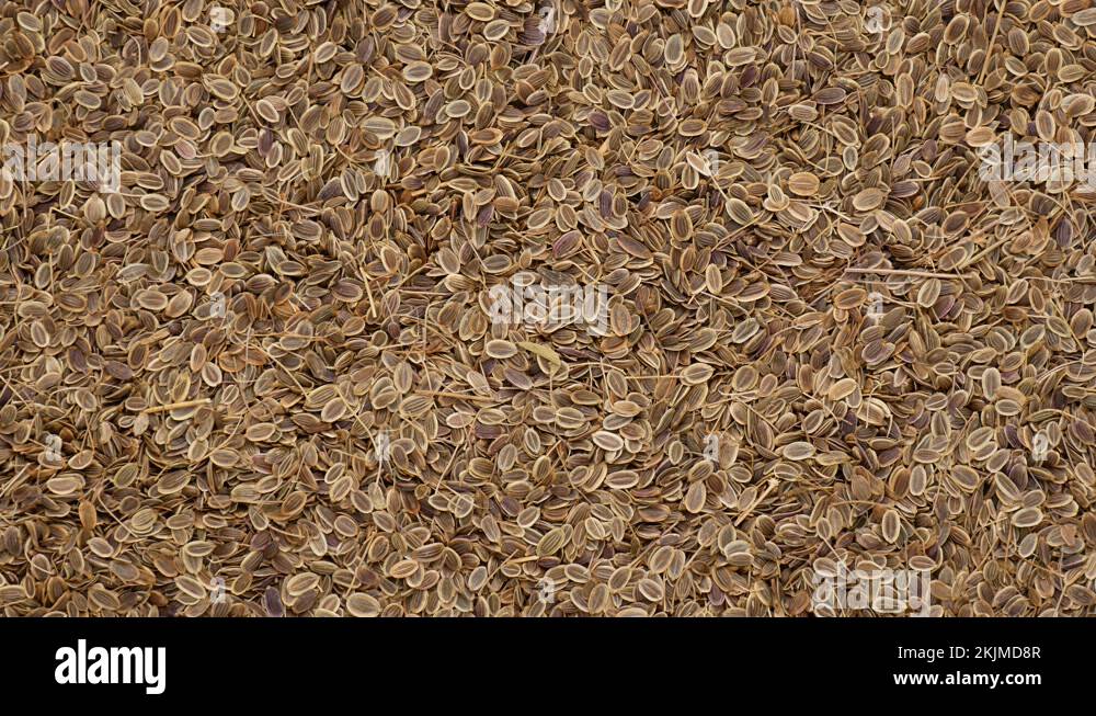 Dill seeds background Stock Videos & Footage - HD and 4K Video Clips ...