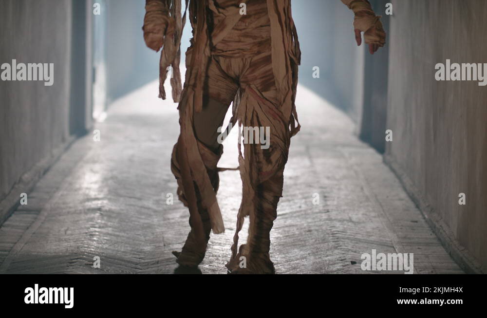 Mummy in bandages Stock Videos & Footage - HD and 4K Video Clips - Alamy