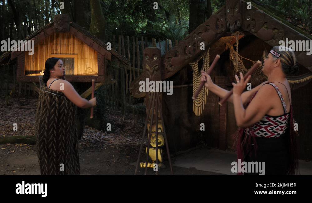 Maori tribes traditional greeting show. Vicinity of Rotorua town, New ...