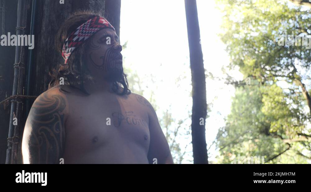 Maori tribes traditional greeting show. Vicinity of Rotorua town, New ...