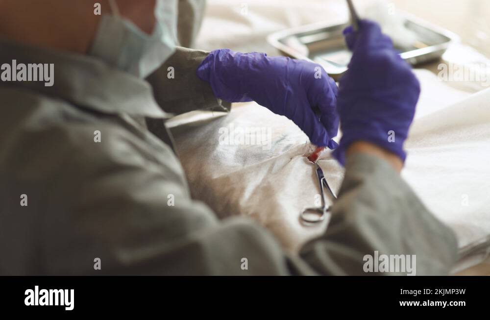 Lesson in a modern school, children learn medicine, train to perform ...