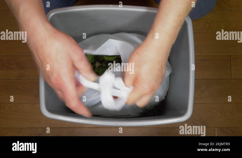Man’s hands removing a food waste bag from a small bin / trash can ...