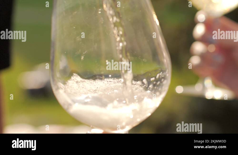 Romantic forest Stock Videos & Footage - HD and 4K Video Clips - Alamy