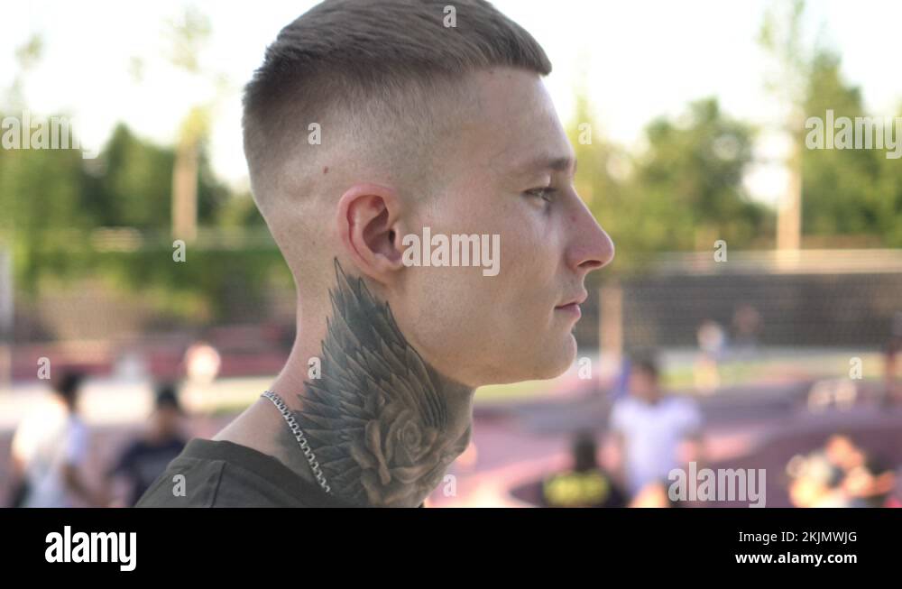 Bully portrait Stock Videos & Footage - HD and 4K Video Clips - Alamy