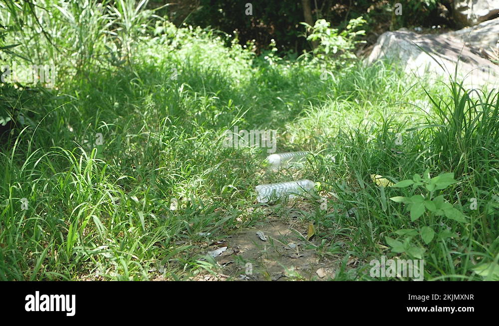 Littering the ground Stock Videos & Footage - HD and 4K Video Clips - Alamy