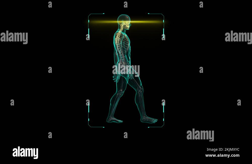 Analysis of Isolated Human Male Anatomy Scan Walking on Futuristic ...