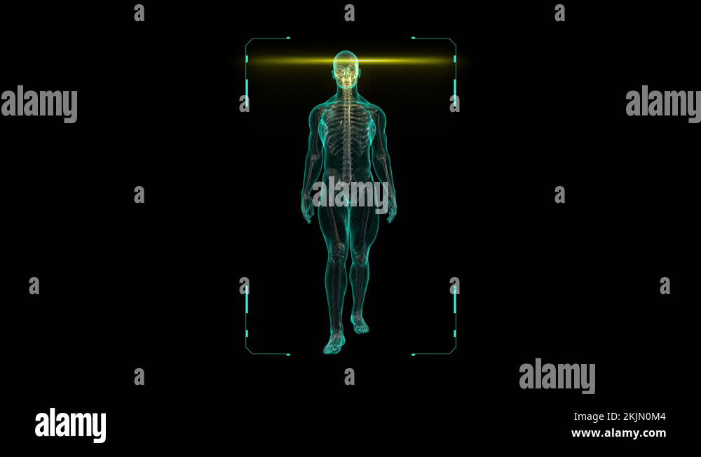 Analysis of Isolated Human Male Anatomy Scan Walking on Futuristic ...