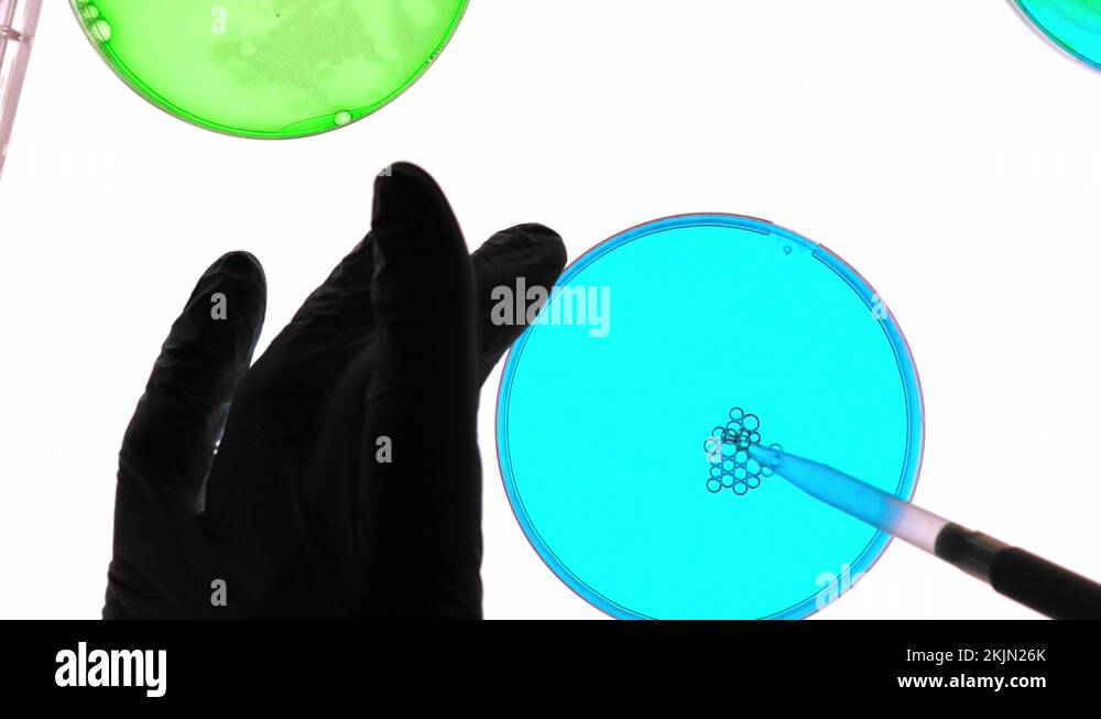 Genetic sampling Stock Videos & Footage - HD and 4K Video Clips - Alamy