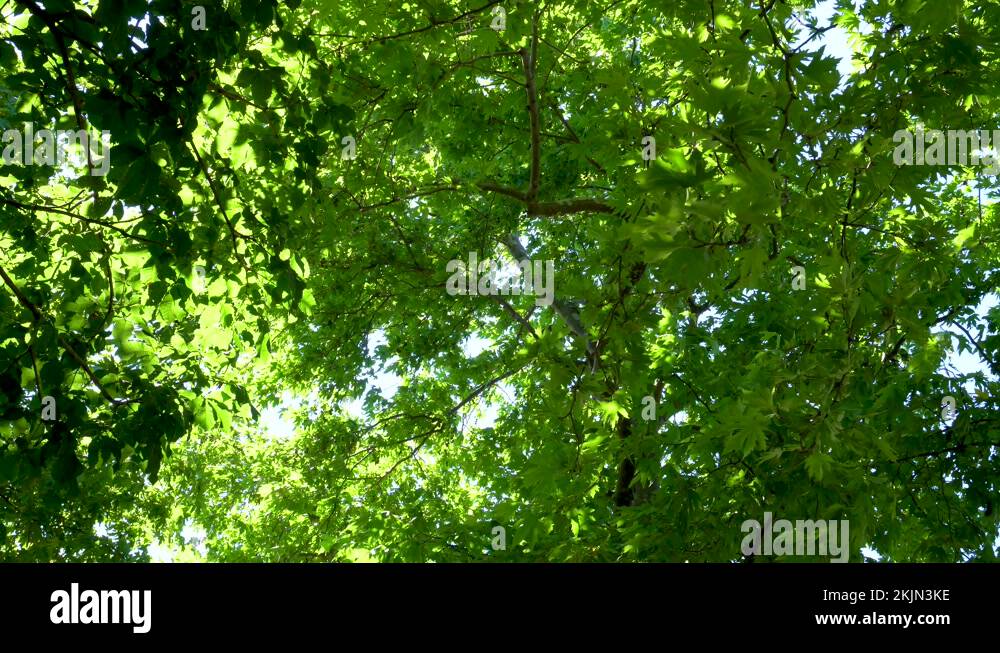 Vertical look Stock Videos & Footage - HD and 4K Video Clips - Alamy