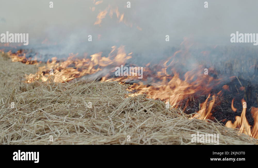 Burnt countryside Stock Videos & Footage - HD and 4K Video Clips - Alamy