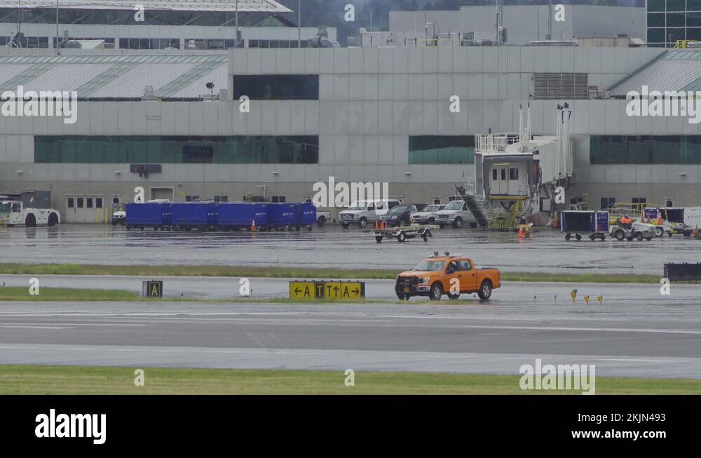 Prevent bird Stock Videos & Footage - HD and 4K Video Clips - Alamy