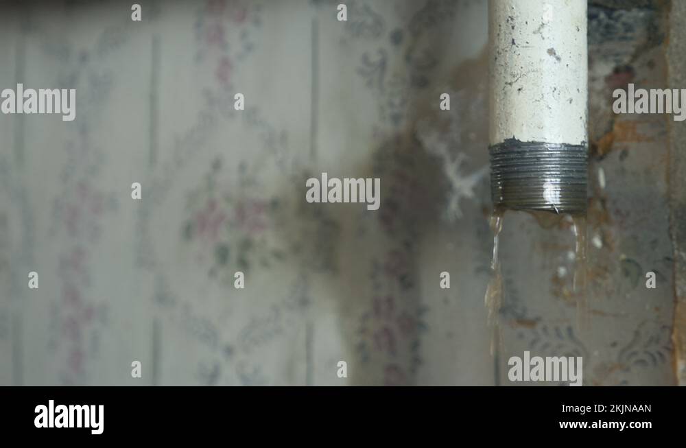 Emergency service dismantling Stock Videos & Footage - HD and 4K Video ...