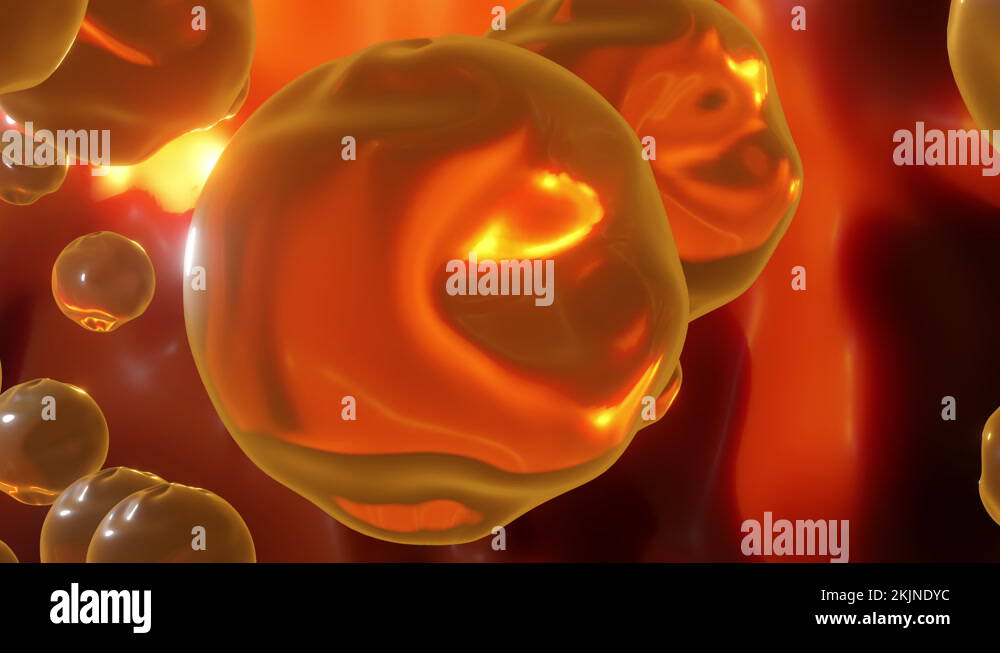 3d rendered human body Stock Videos & Footage - HD and 4K Video Clips ...