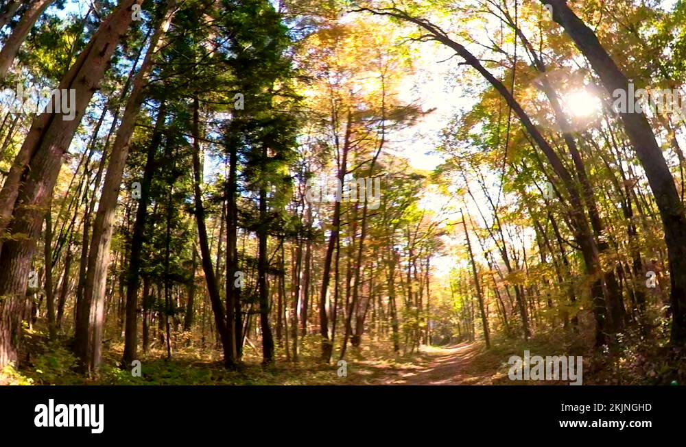 Pathway road Stock Videos & Footage - HD and 4K Video Clips - Alamy