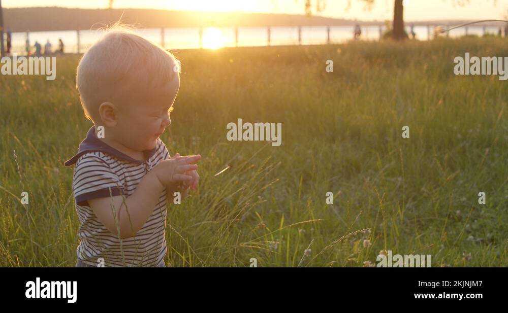 Wild reaction Stock Videos & Footage - HD and 4K Video Clips - Alamy