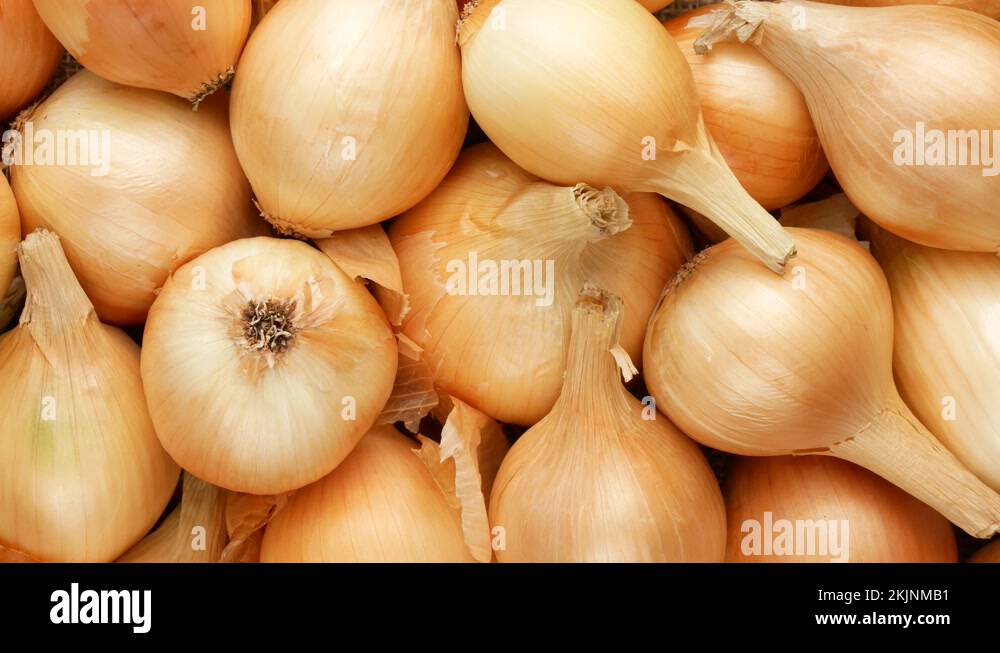 Onions, top view. Onion - background Stock Video Footage - Alamy