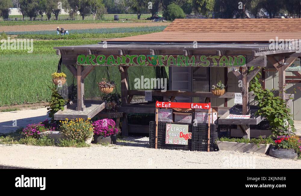 Organic farm stand Stock Videos & Footage - HD and 4K Video Clips - Alamy