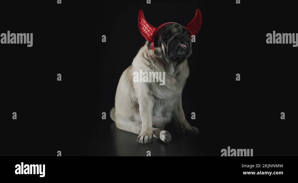 Carnival devil costume Stock Videos & Footage - HD and 4K Video Clips ...