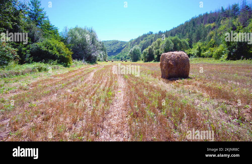 Hay bales blue sky field straw bale Stock Videos & Footage - HD and 4K ...