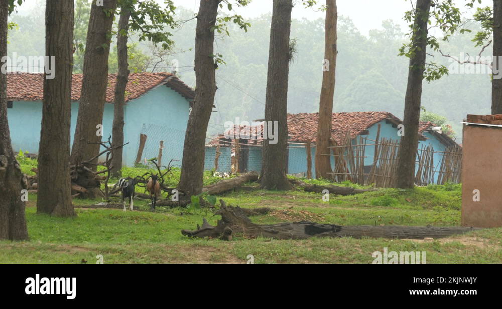 Village huts Stock Videos & Footage - HD and 4K Video Clips - Alamy