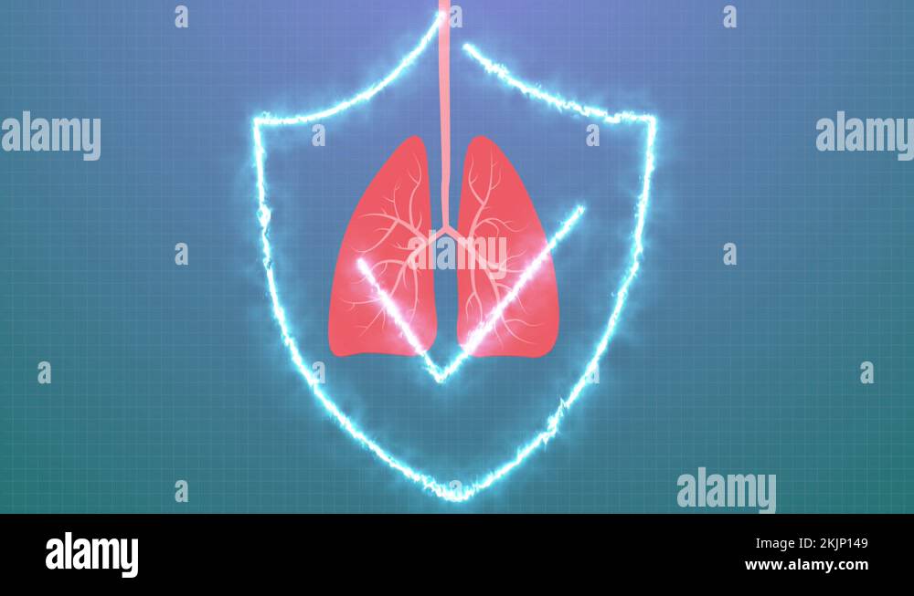 Lungs damage anatomy Stock Videos & Footage - HD and 4K Video Clips - Alamy