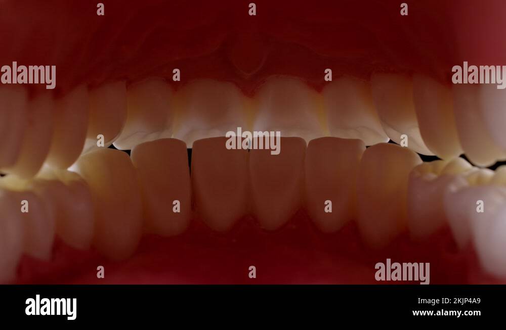 Openjaws Stock Videos & Footage - HD and 4K Video Clips - Alamy