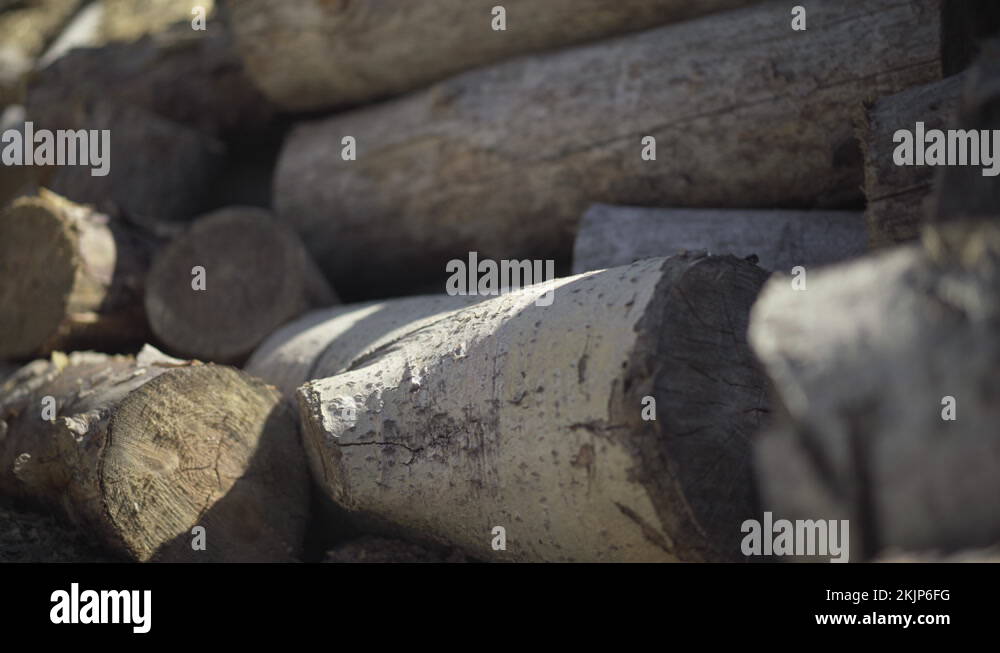 Piled timber Stock Videos & Footage - HD and 4K Video Clips - Alamy